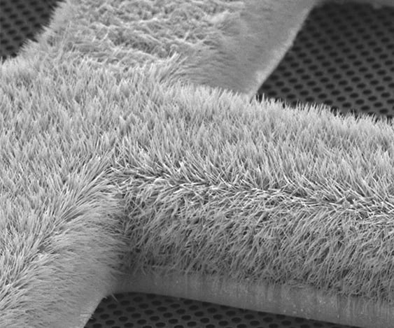 Quantifoil | SPT Labtech